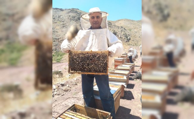 Türk Dağı’nda bal sağımı başladı - Adıyaman Haber - Adıyaman Haberleri ...